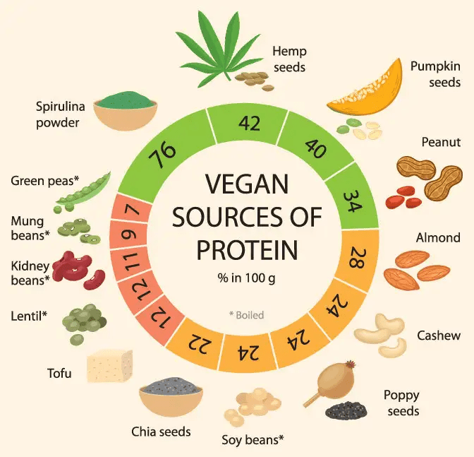Vegetarian Protein Sources Ranked (Highest to Lowest) – Chubby to Chiseled